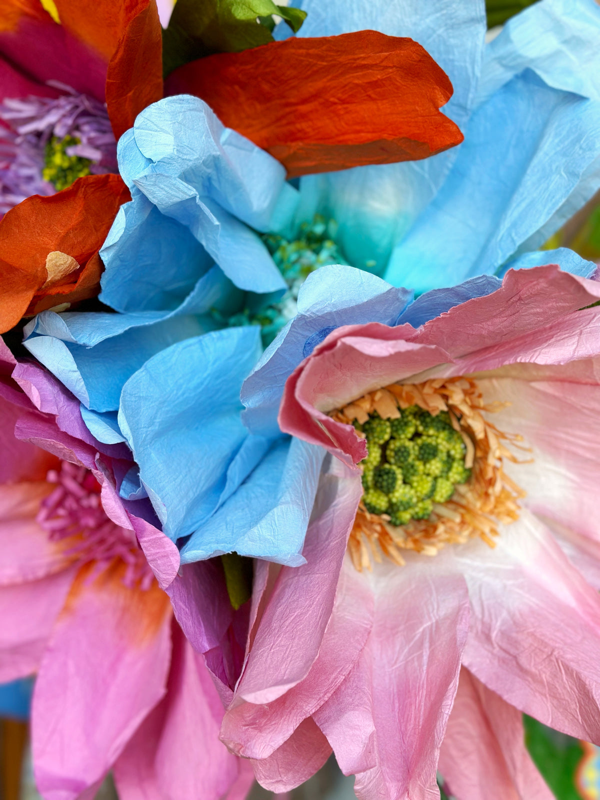 Bright and colourful homewares store based in Orange, NSW– Jumbled