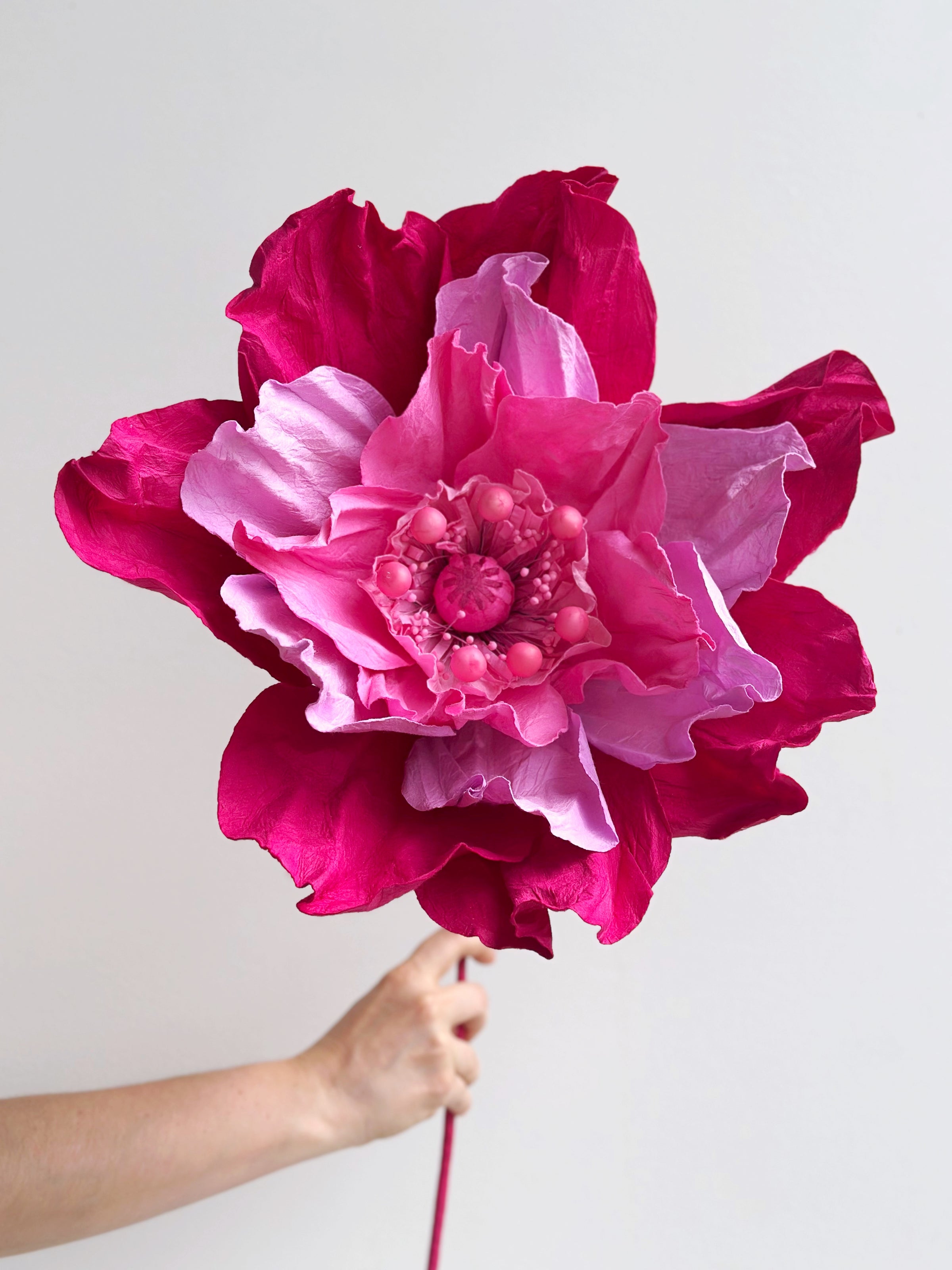 Paper Flowers– Jumbled