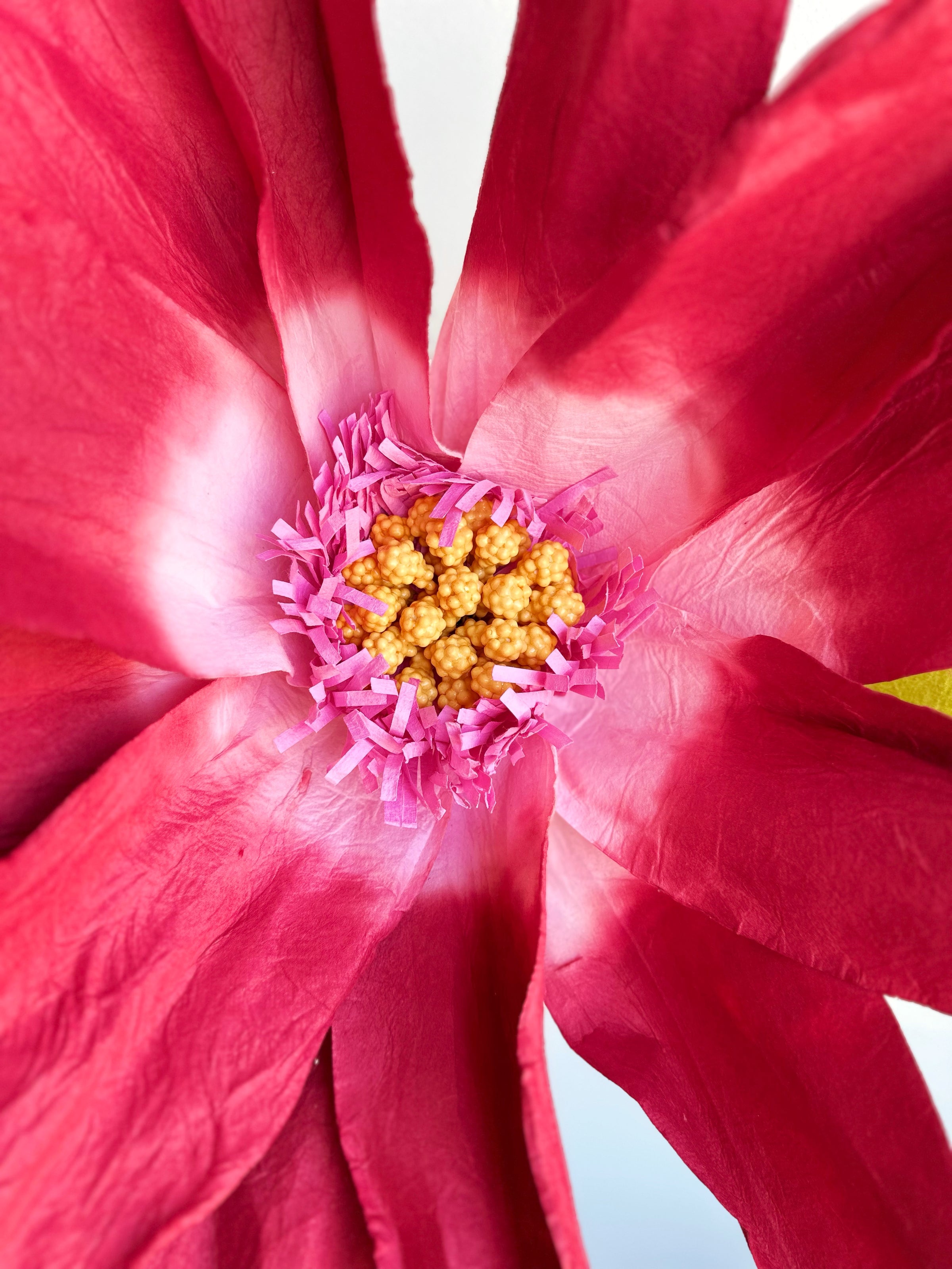 Paper Flowers– Jumbled