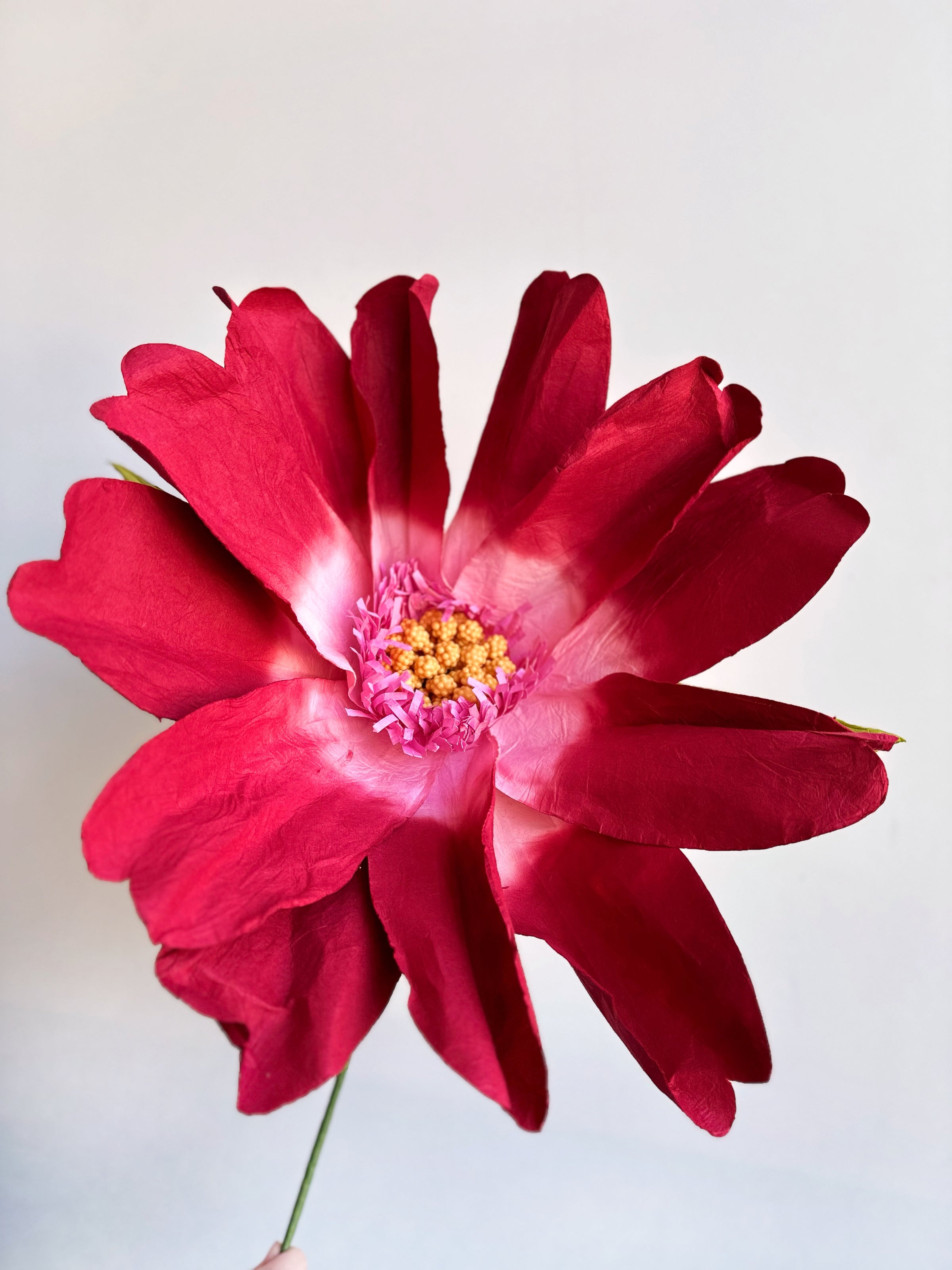 Paper Flowers– Jumbled