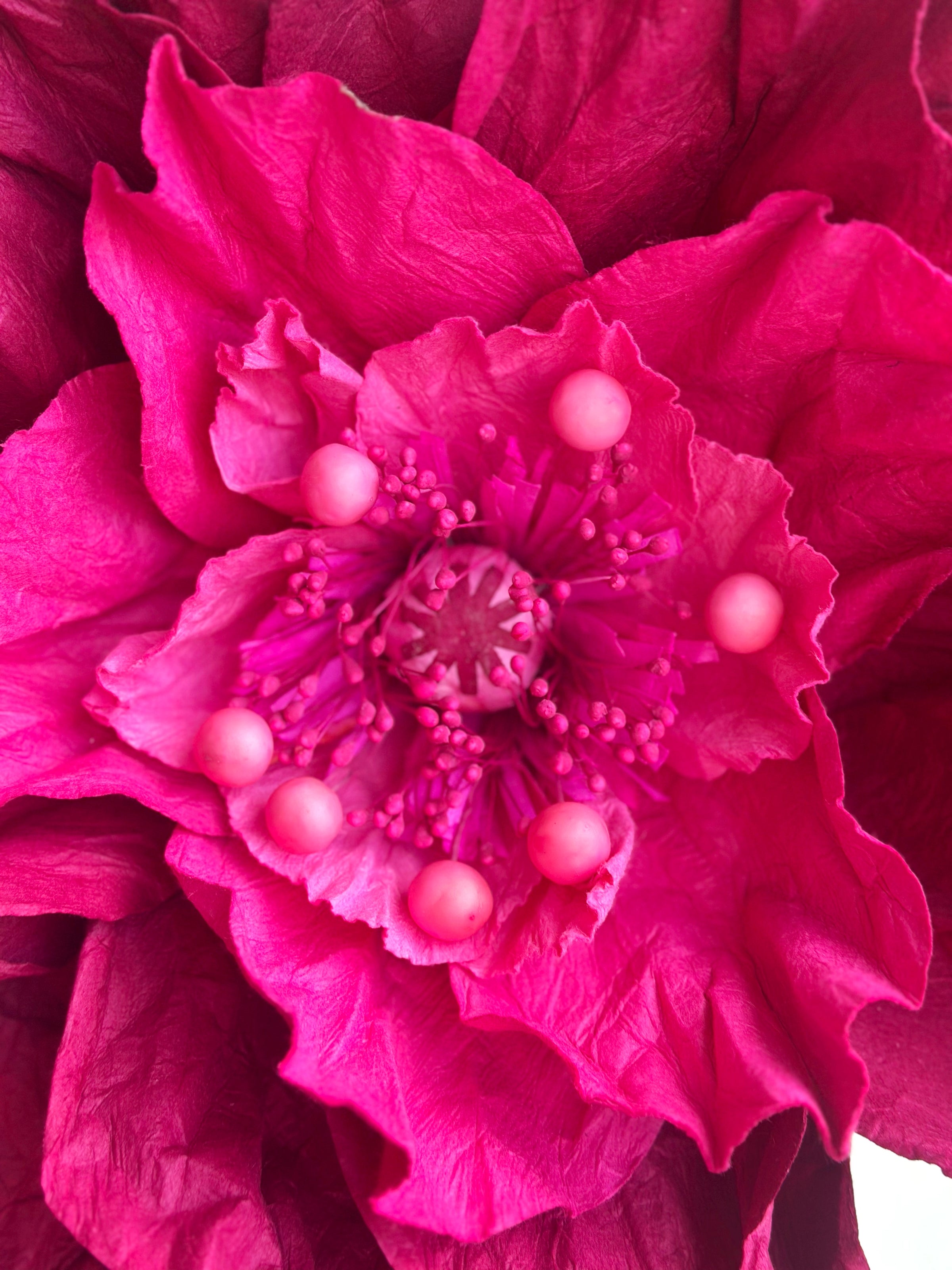 Paper Flowers– Jumbled