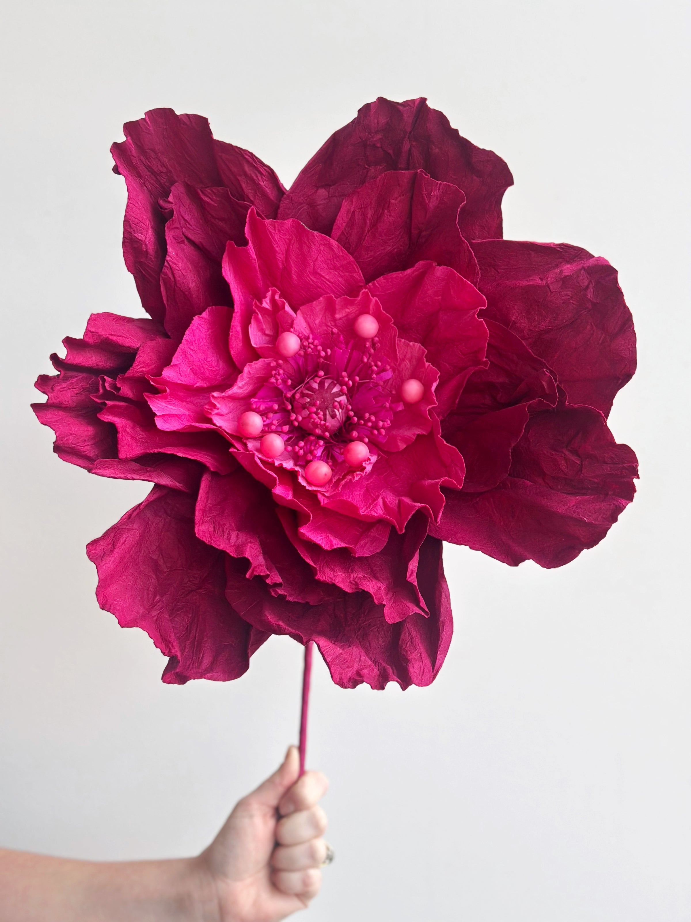 Paper Flowers– Jumbled
