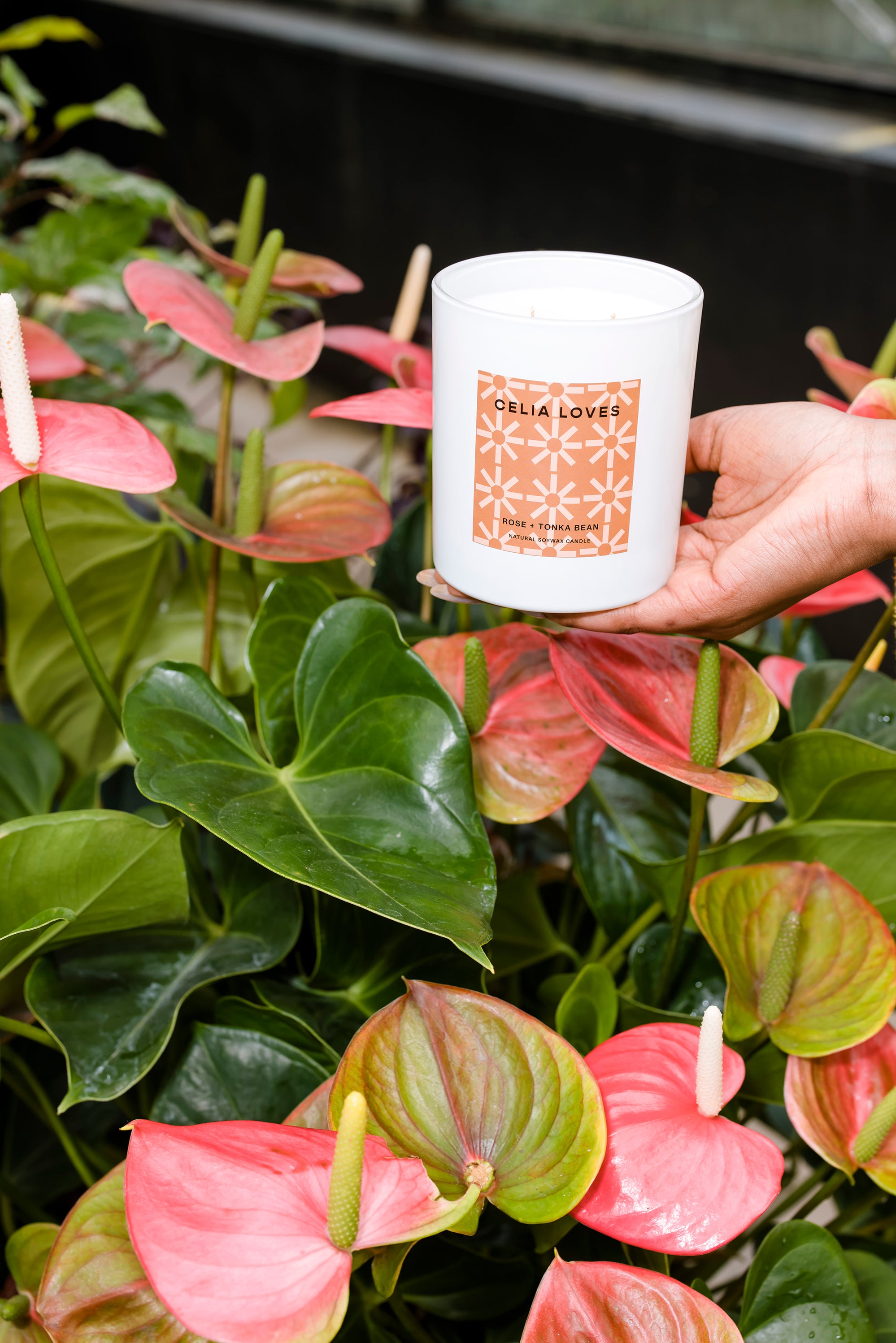 Living Room– Jumbled