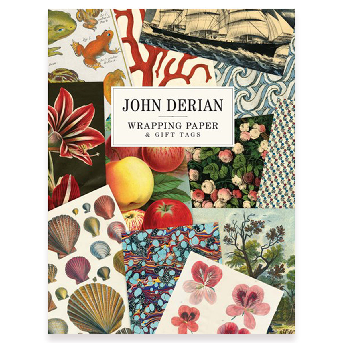All Wrapped Up - John Derian– Jumbled